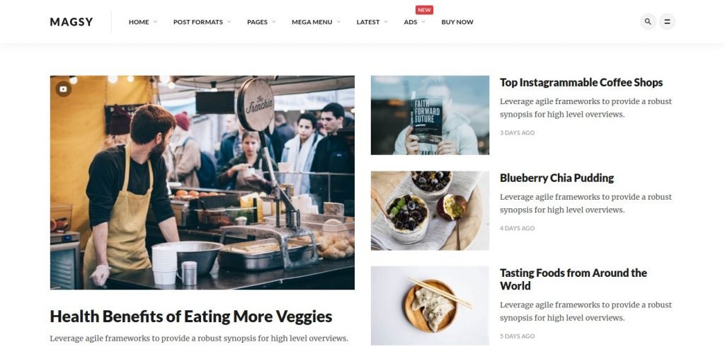 50+ Best WordPress Blog, Magazine & News Themes (Premium)