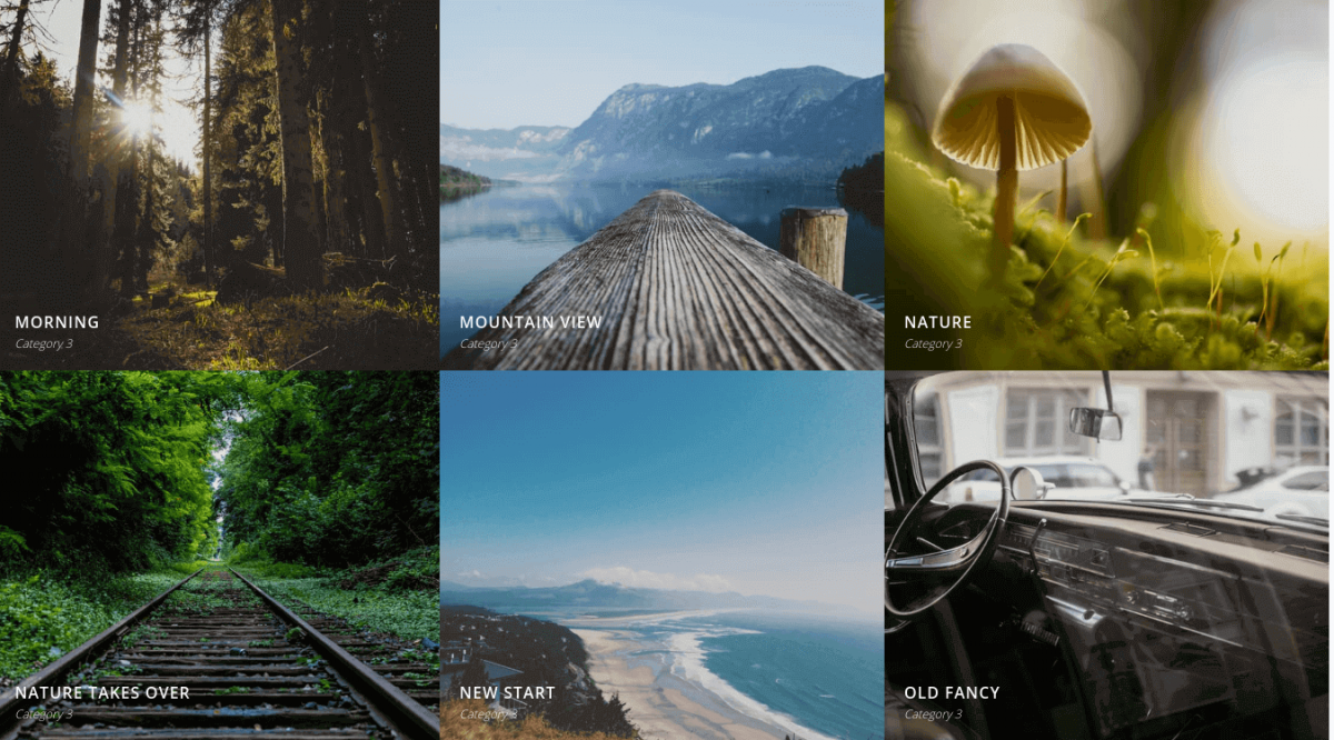 10 Best WordPress Grid Plugins In 2021 [Latest Collection]